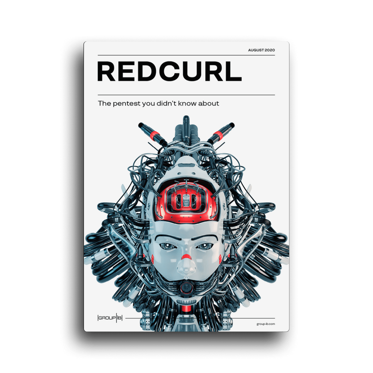 RedCurl: The Pentest You Didn’t Know About | Group-IB Threat Research